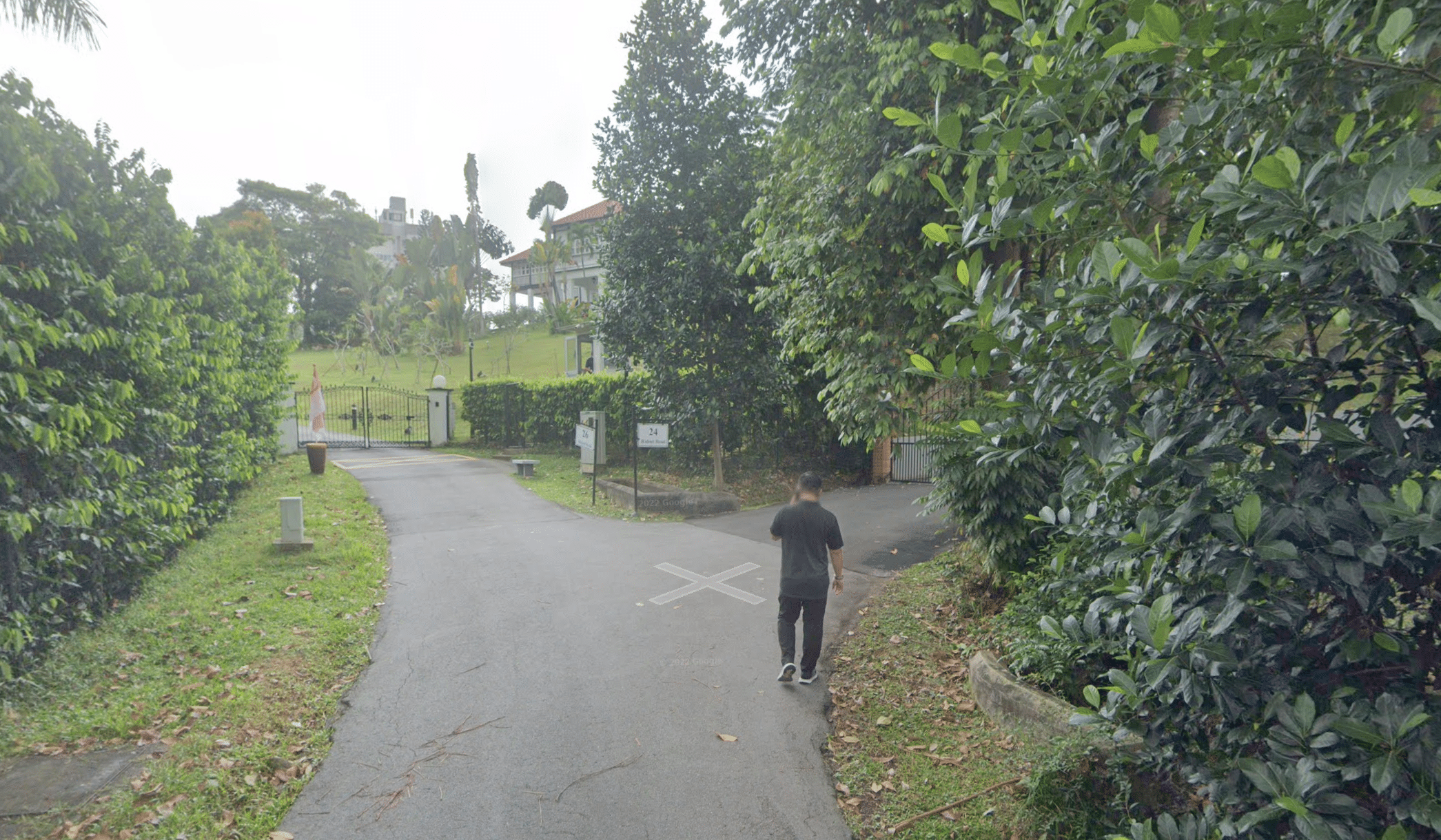 Who resides at 24 Ridout Road? Why was the greenery cleared along with ...