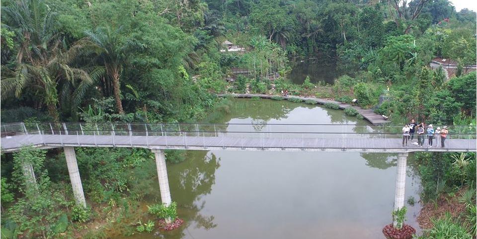 Singapore Botanic Gardens 'Learning Forest' officially opens - The ...
