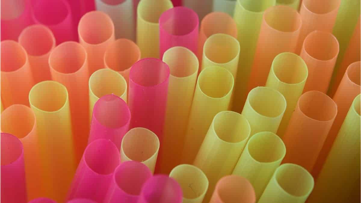 Straws made of rice introduced in Singapore for the first time as ideal ...