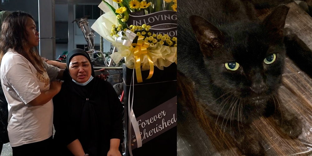 Caretakers of Panther cry uncontrollably at its memorial, knowing it ...