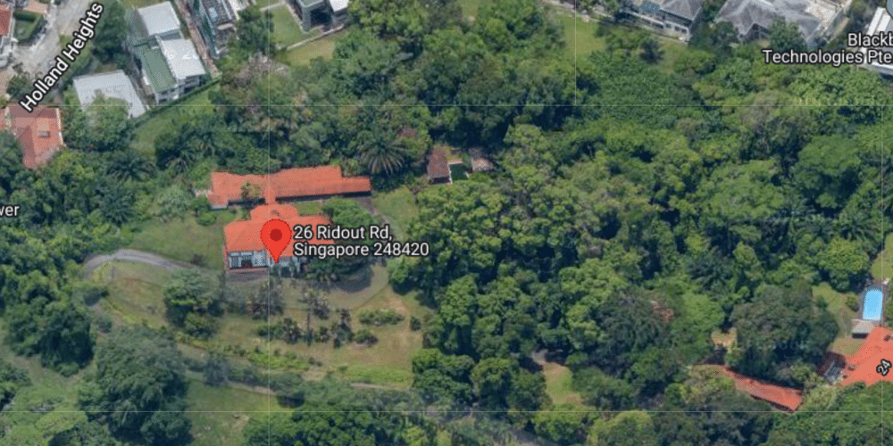 19 trees with 1-metre girth and 24 trees cut down at Ministers' rented ...